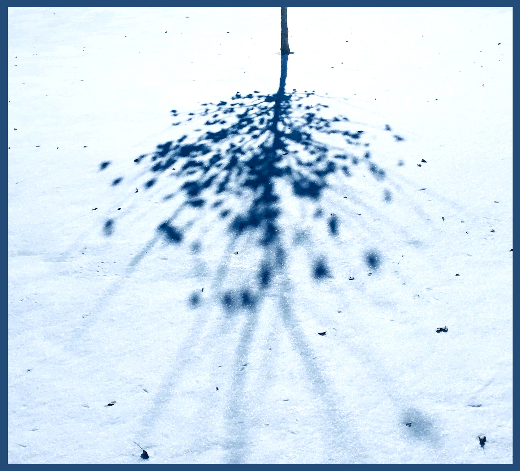 BADASS TOM ROSEN – “I believe the world needs more happiness. I’m ...